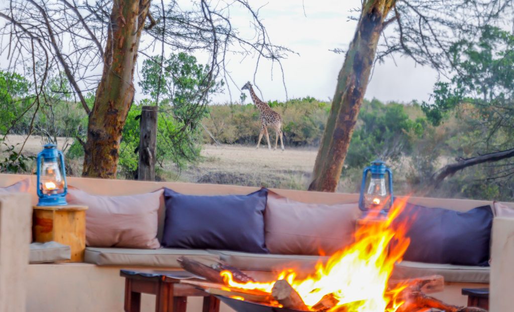 Zebra River Camp - Luxury - Zebra Plains Mara Camps