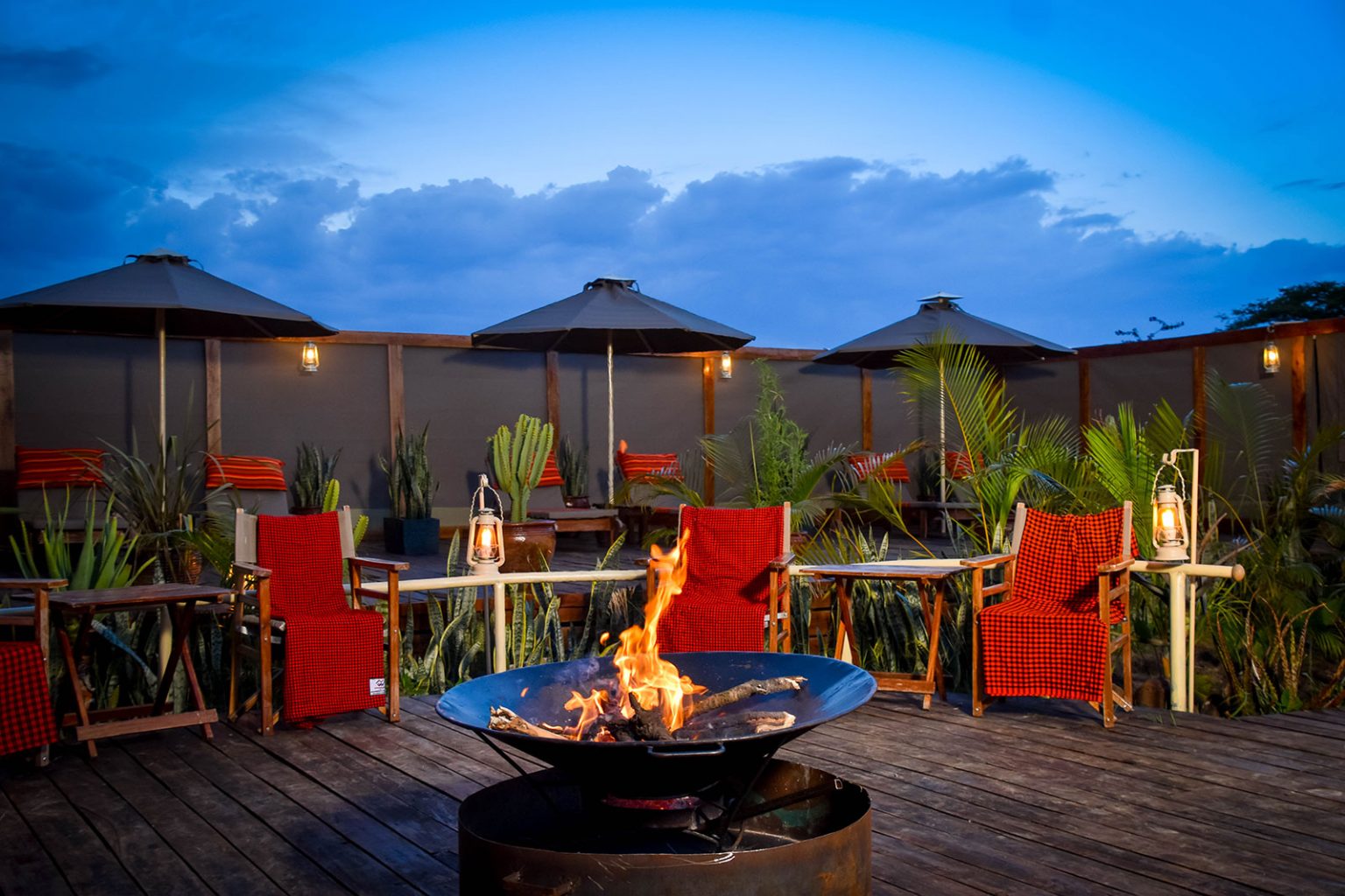 About Us - Zebra Plains Mara Camps